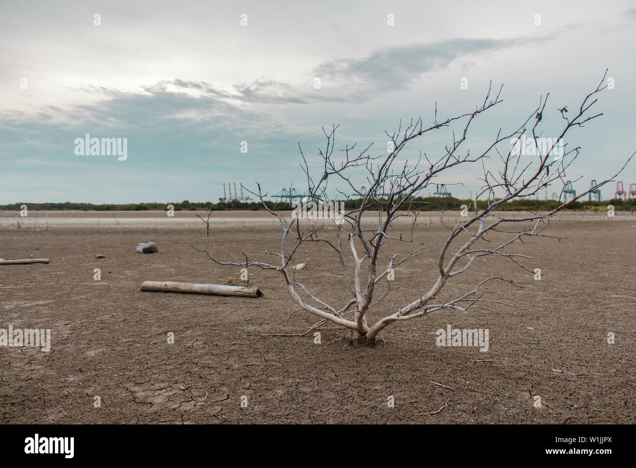 Haggard High Resolution Stock Photography and Images - Alamy