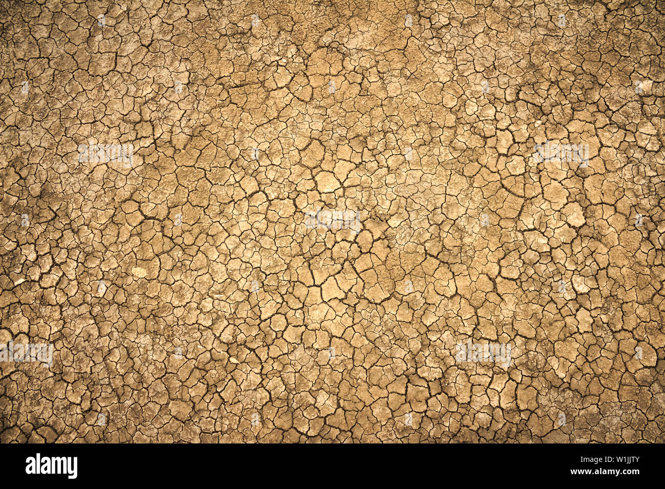 Cracked clay ground hi-res stock photography and images - Alamy