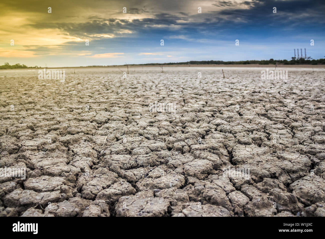 Land with dry and cracked ground. Desert Stock Photo - Alamy