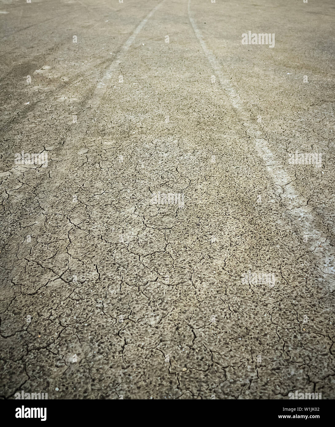 diverging pattern of four wheel drive tracks in wet yellow sand Stock ...