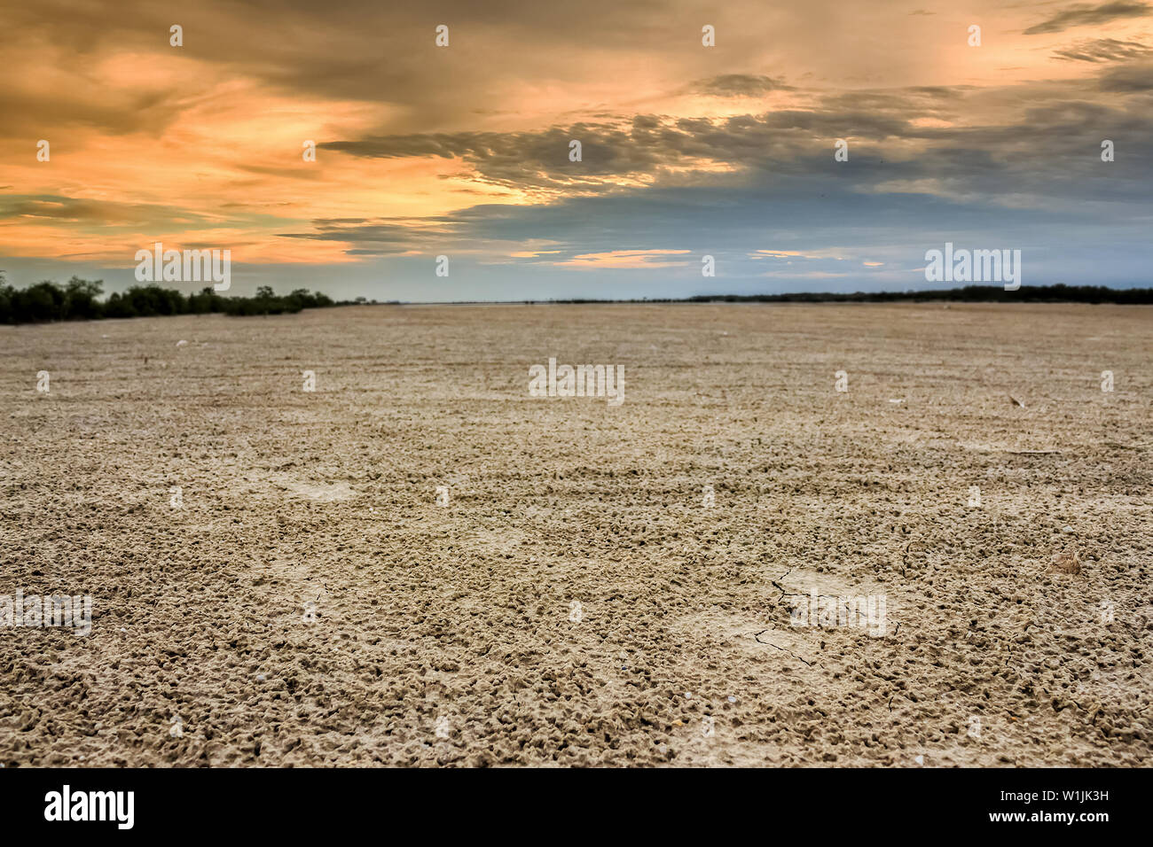 Land with dry and cracked ground. Desert Stock Photo - Alamy