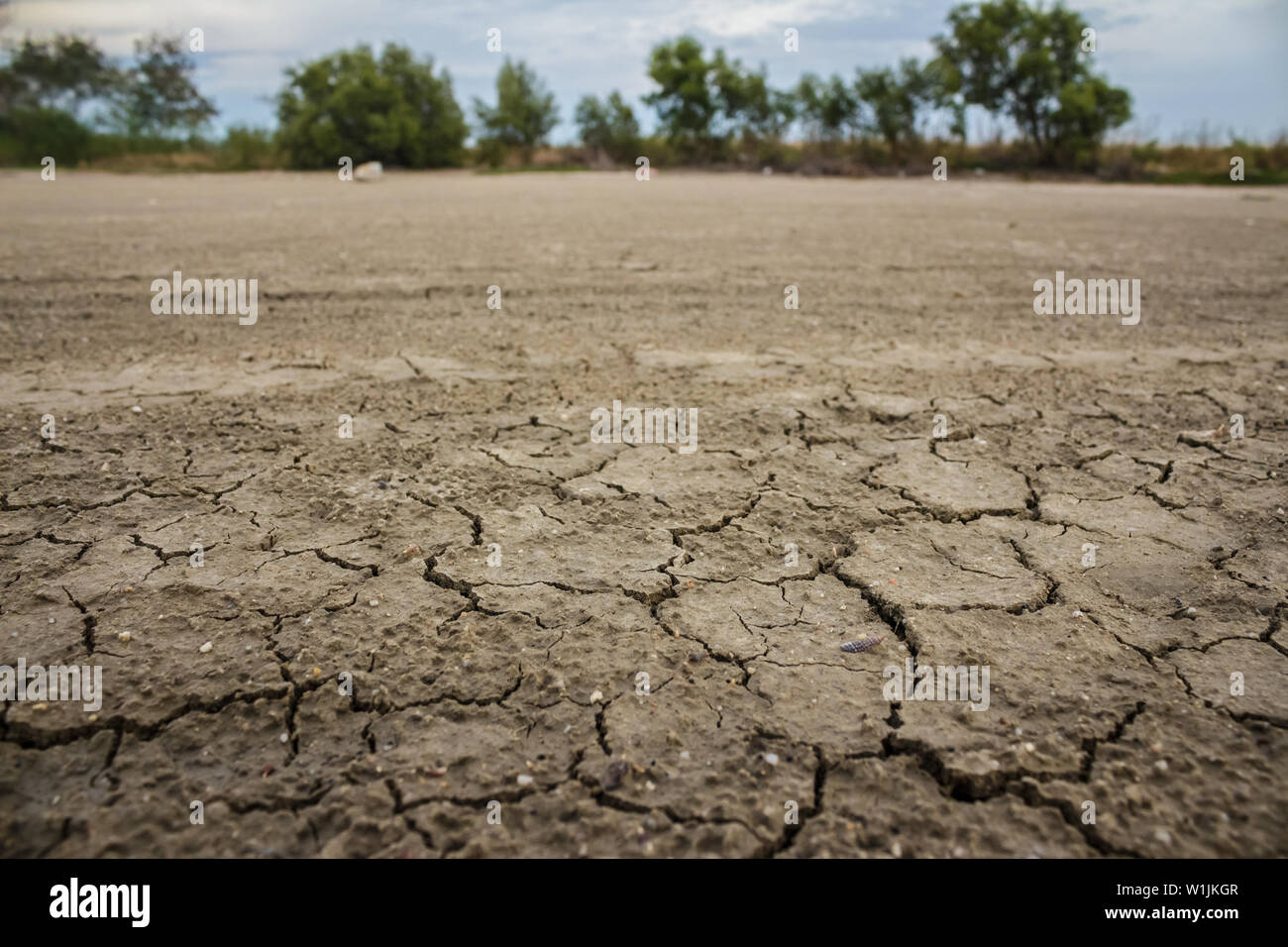 Land with dry and cracked ground. Desert Stock Photo - Alamy