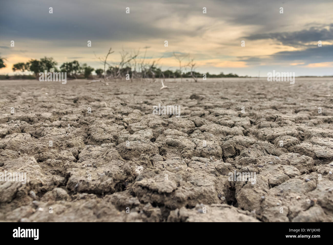 Land with dry and cracked ground. Desert Stock Photo - Alamy