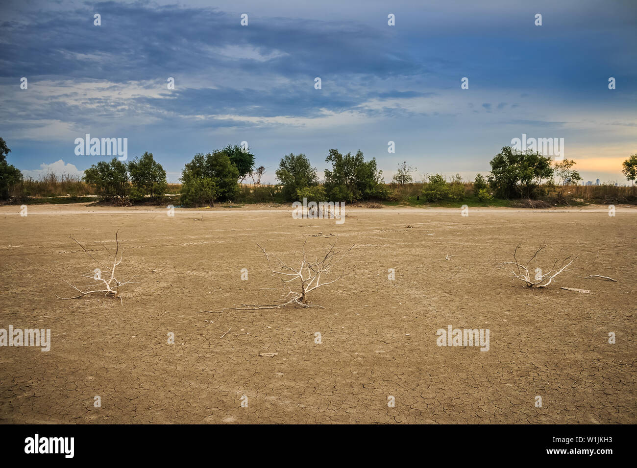 Land with dry and cracked ground. Desert Stock Photo - Alamy
