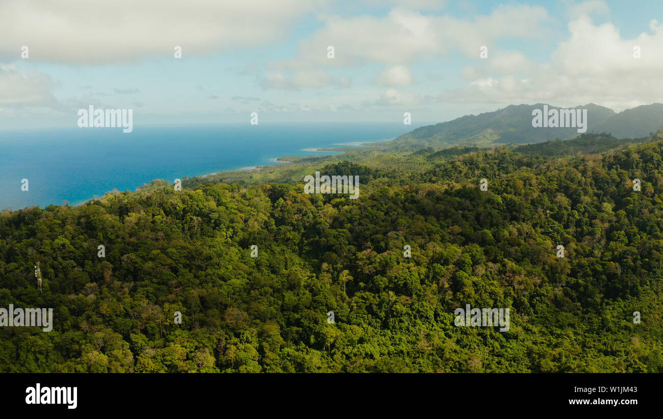 Coastline of tropical island Balabac covered with green rain forest ...