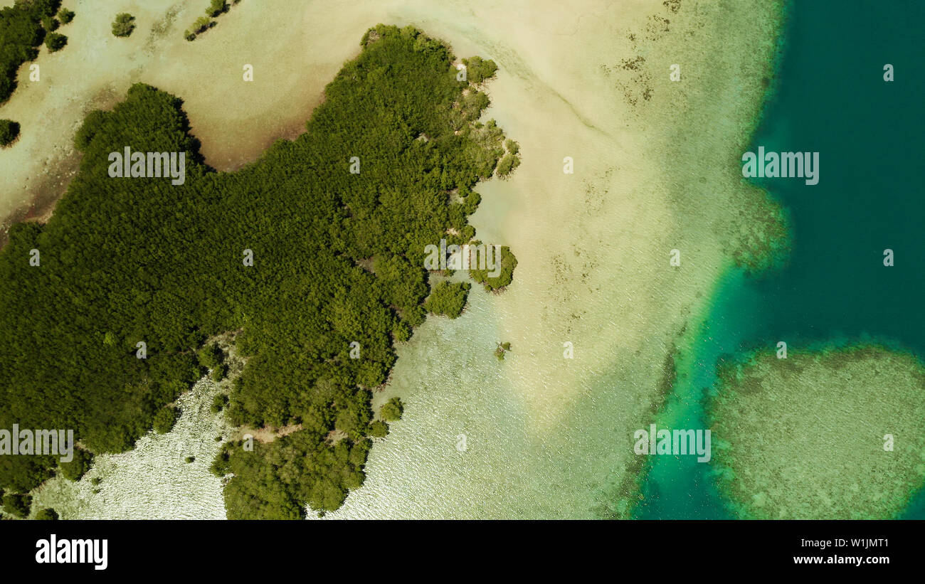 Philippines palawan mangroves forest hi-res stock photography and ...