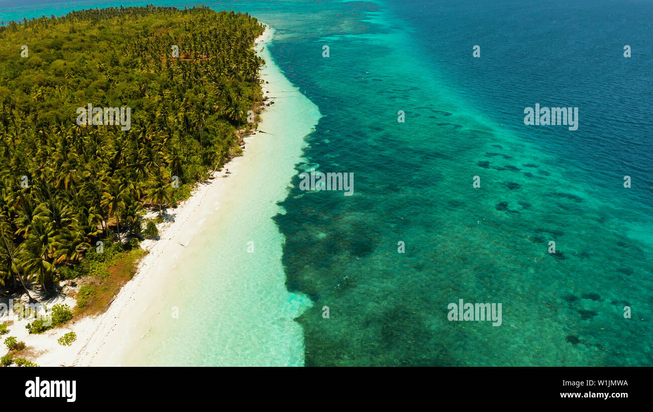 Coral Sandy High Resolution Stock Photography and Images - Alamy