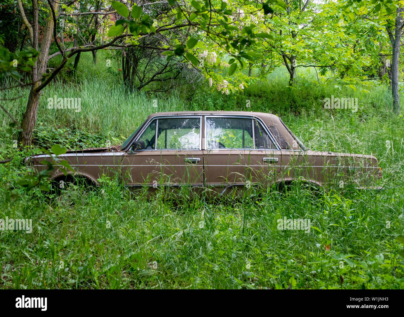 Car wreck is overgrown by the nature hi-res stock photography and ...