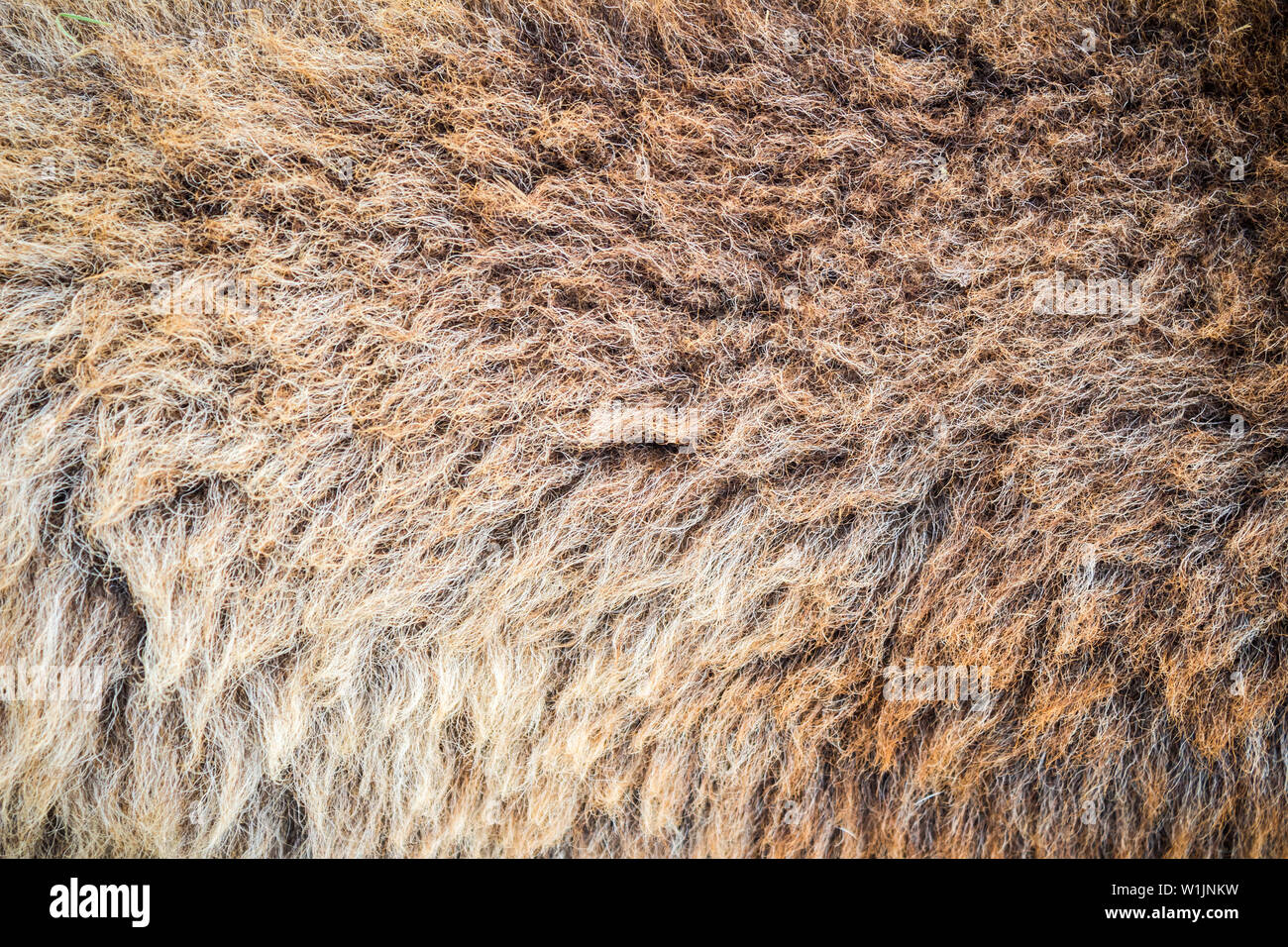 Brown wool hi-res stock photography and images - Alamy