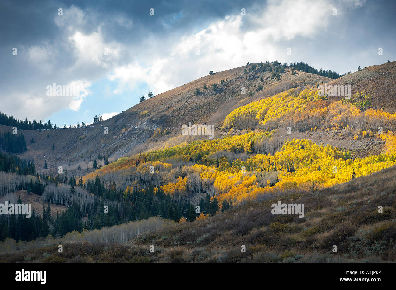 Clouds envelope the ridgeline as fall color stands out in Utah's ...
