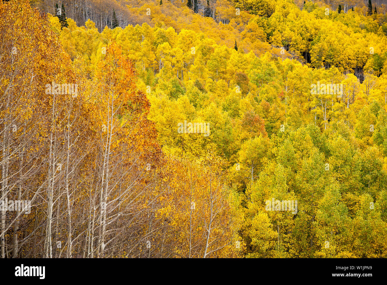 Guardsman pass hi-res stock photography and images - Alamy