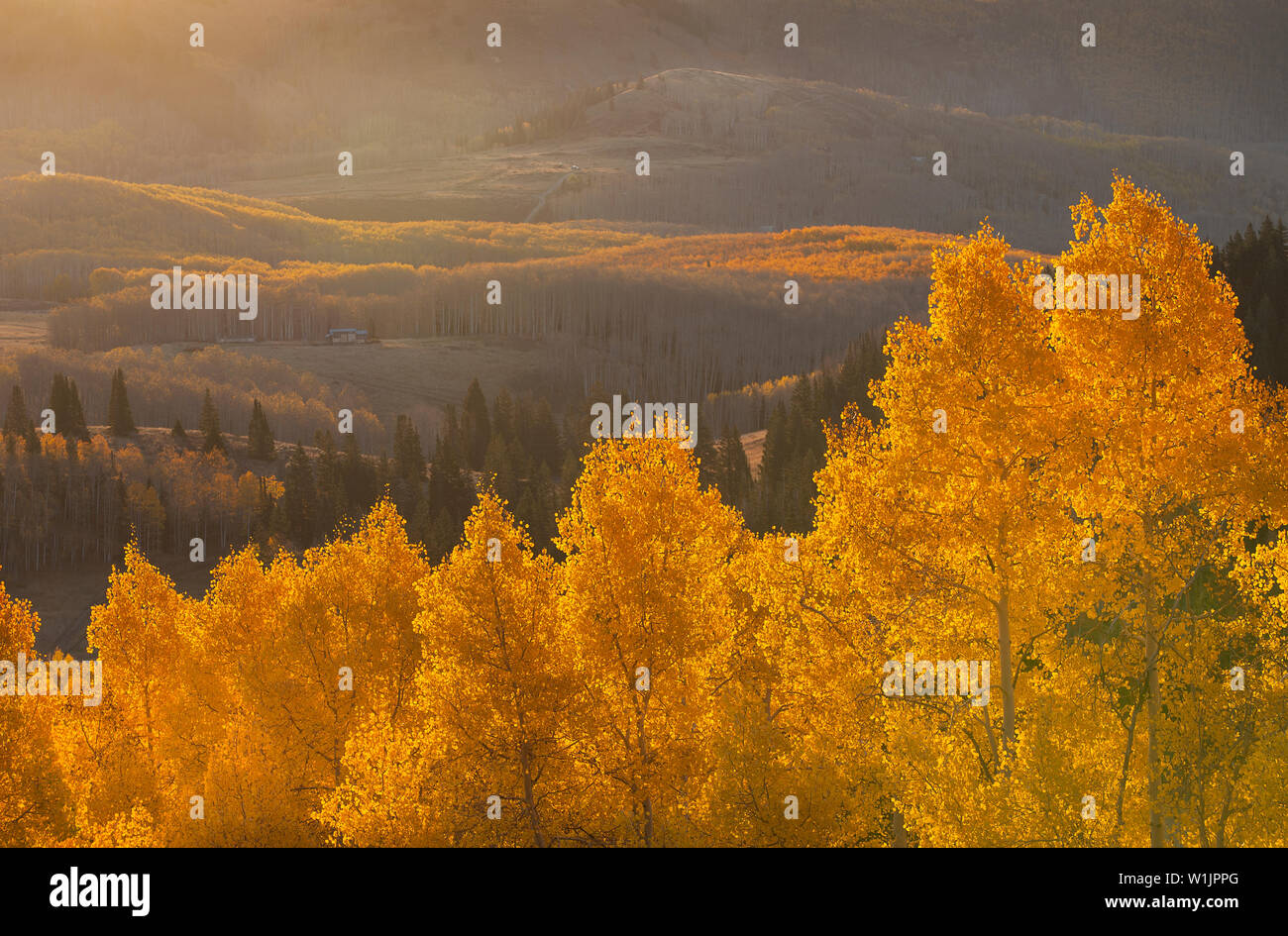 Day breaks through the turning leaves as fall color begins to wane in ...