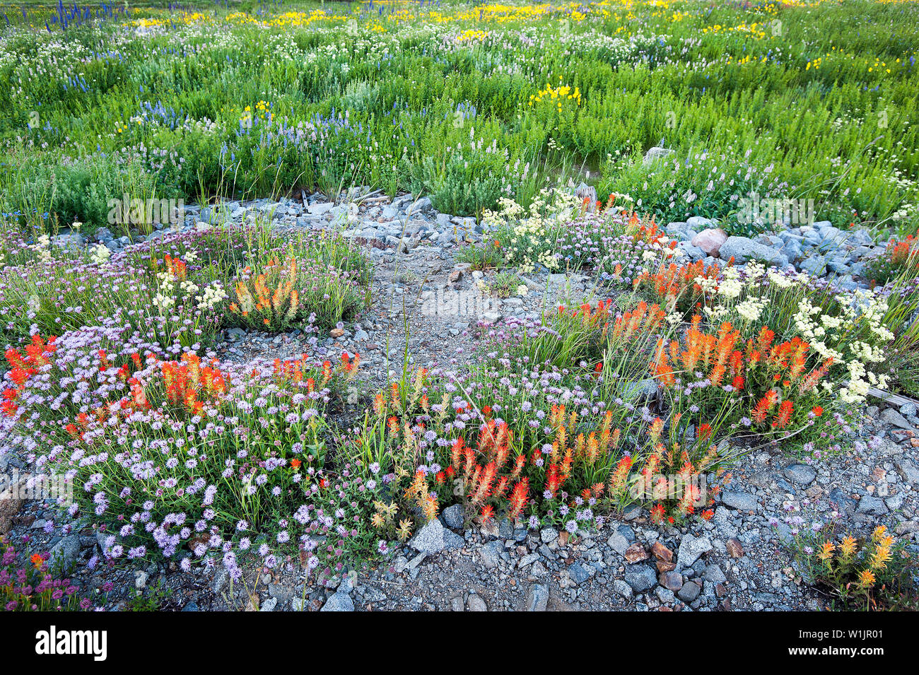 Kelly basin hi-res stock photography and images - Alamy