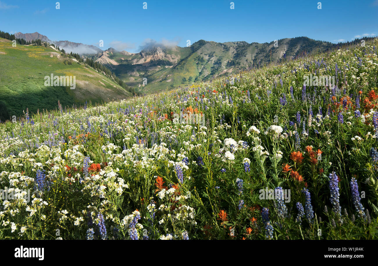 Alta ski area hi-res stock photography and images - Alamy