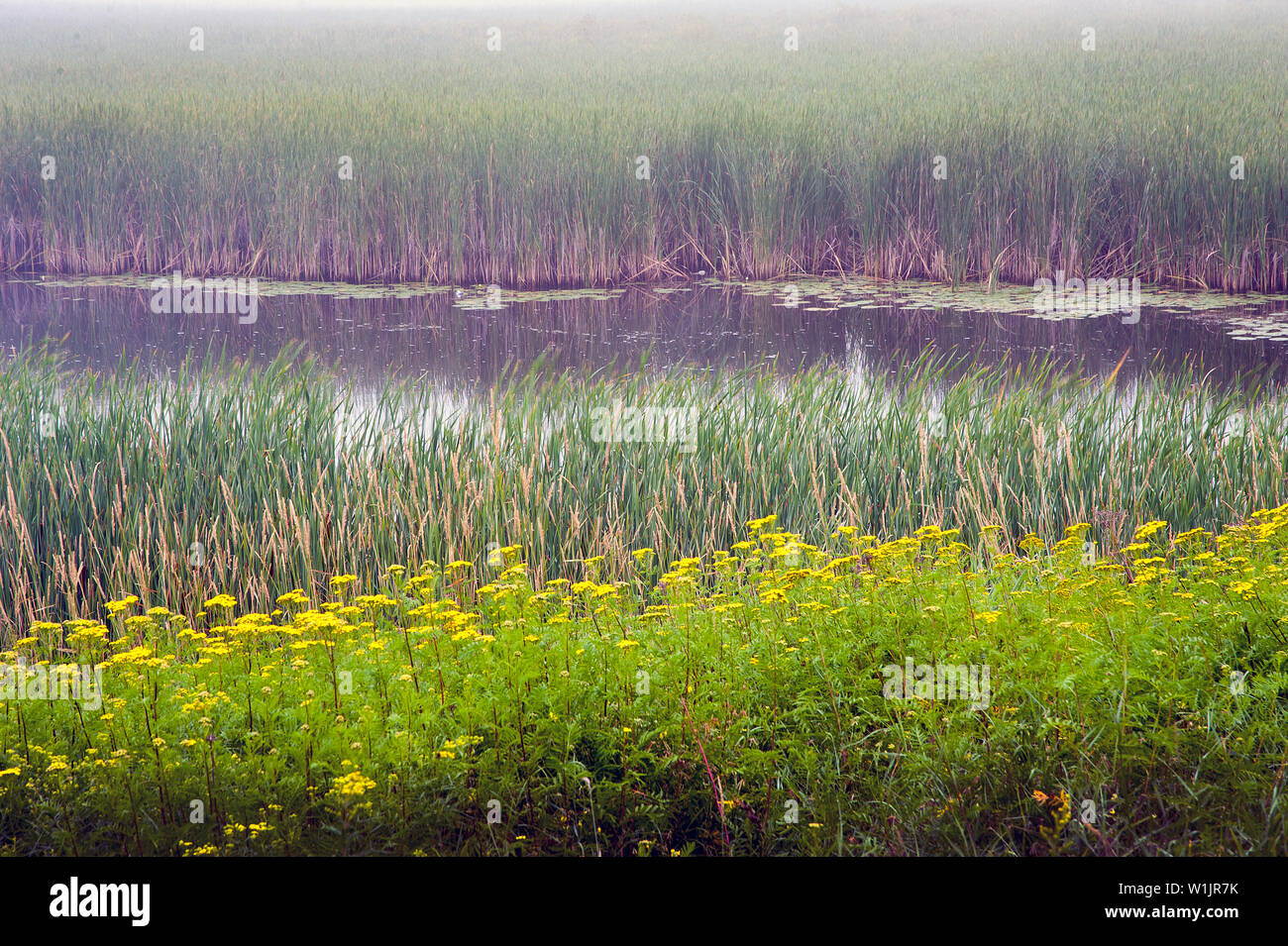 Totagatic river hi-res stock photography and images - Alamy