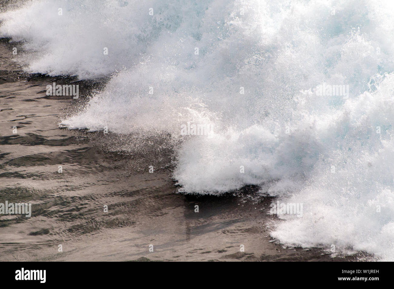 Kelly shore hi-res stock photography and images - Alamy