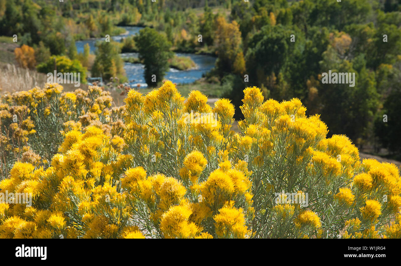 Heber City High Resolution Stock Photography and Images - Alamy