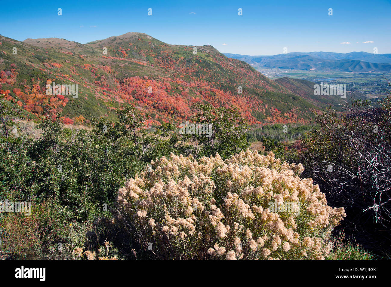 Utah fall hills hi-res stock photography and images - Alamy
