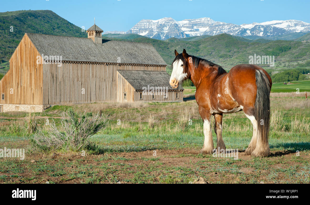 Mount Timpanogos High Resolution Stock Photography and Images - Alamy