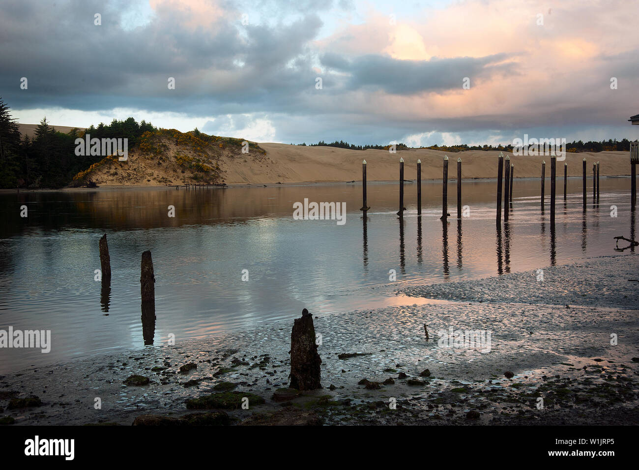 Morning light paints sand dunes along the Siuslaw River in Florence ...
