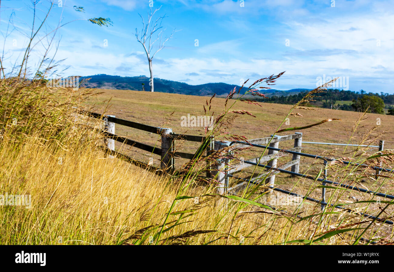 Australian landscape hi-res stock photography and images - Alamy