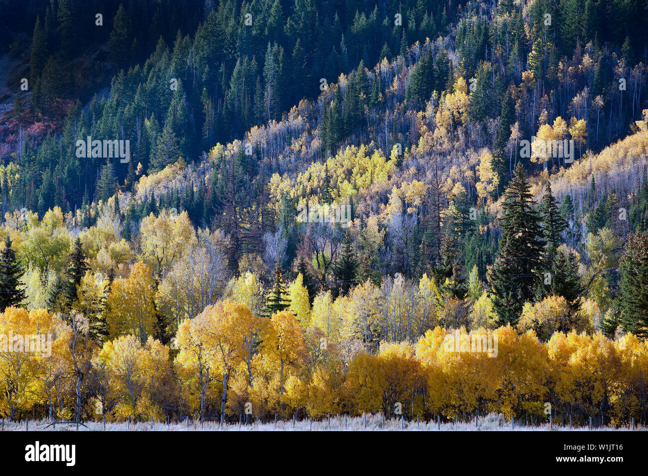 Fall nears its end with some late autumn color in Weber Canyon east of ...