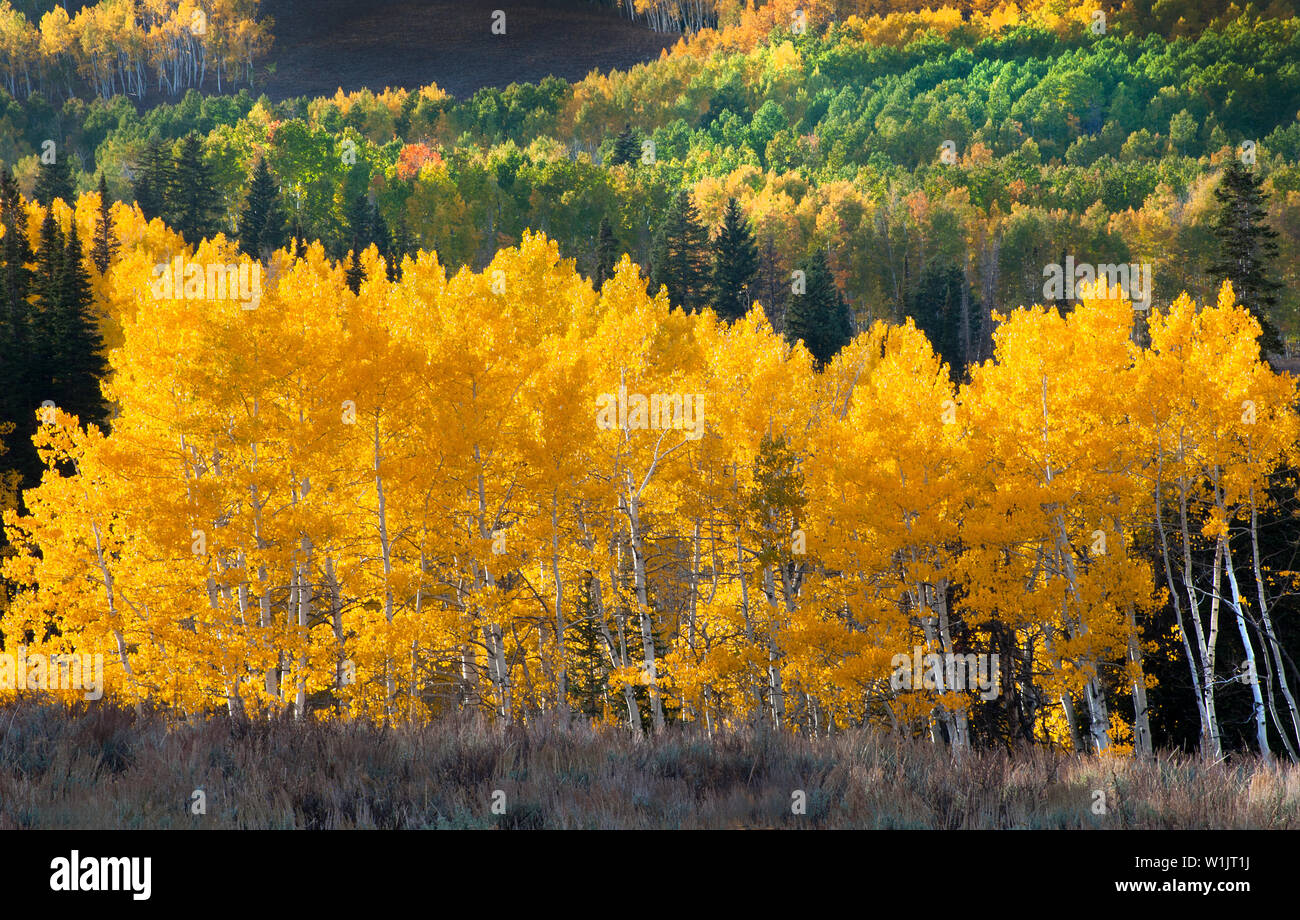 Uinta basin hi-res stock photography and images - Alamy