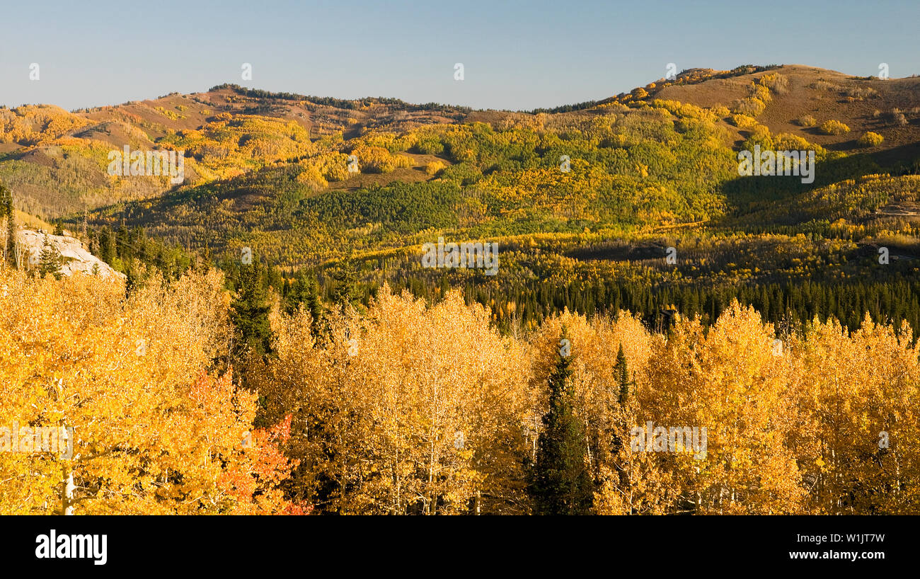 Glowing fall foliage brightens the landscape in the mountains near ...