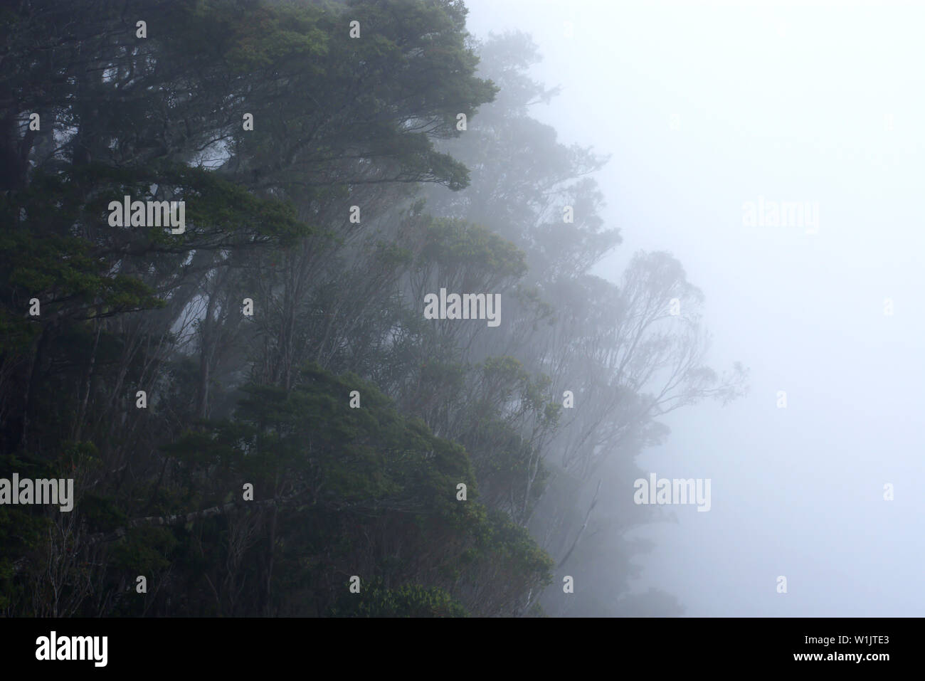 Difficult to see through the mist hi-res stock photography and images ... Difficult to see through the mist hi-res stock photography and images ...