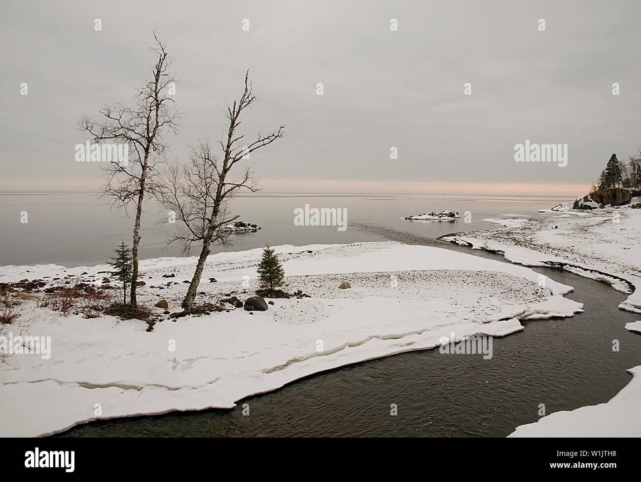 Two trees stand sileng in the ice and snow as the Poplar River makes ...
