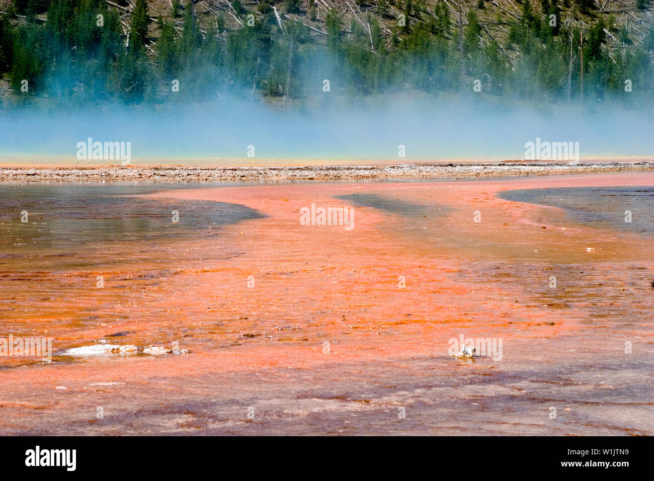 Grand Prismatic Spring, located in Yellowstone National Park's Midway ...