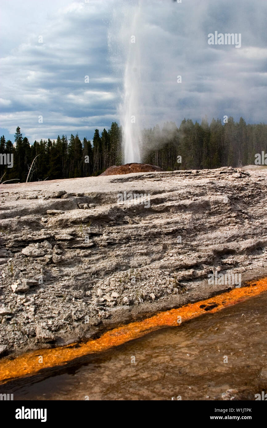 Pink Gooey Geyser