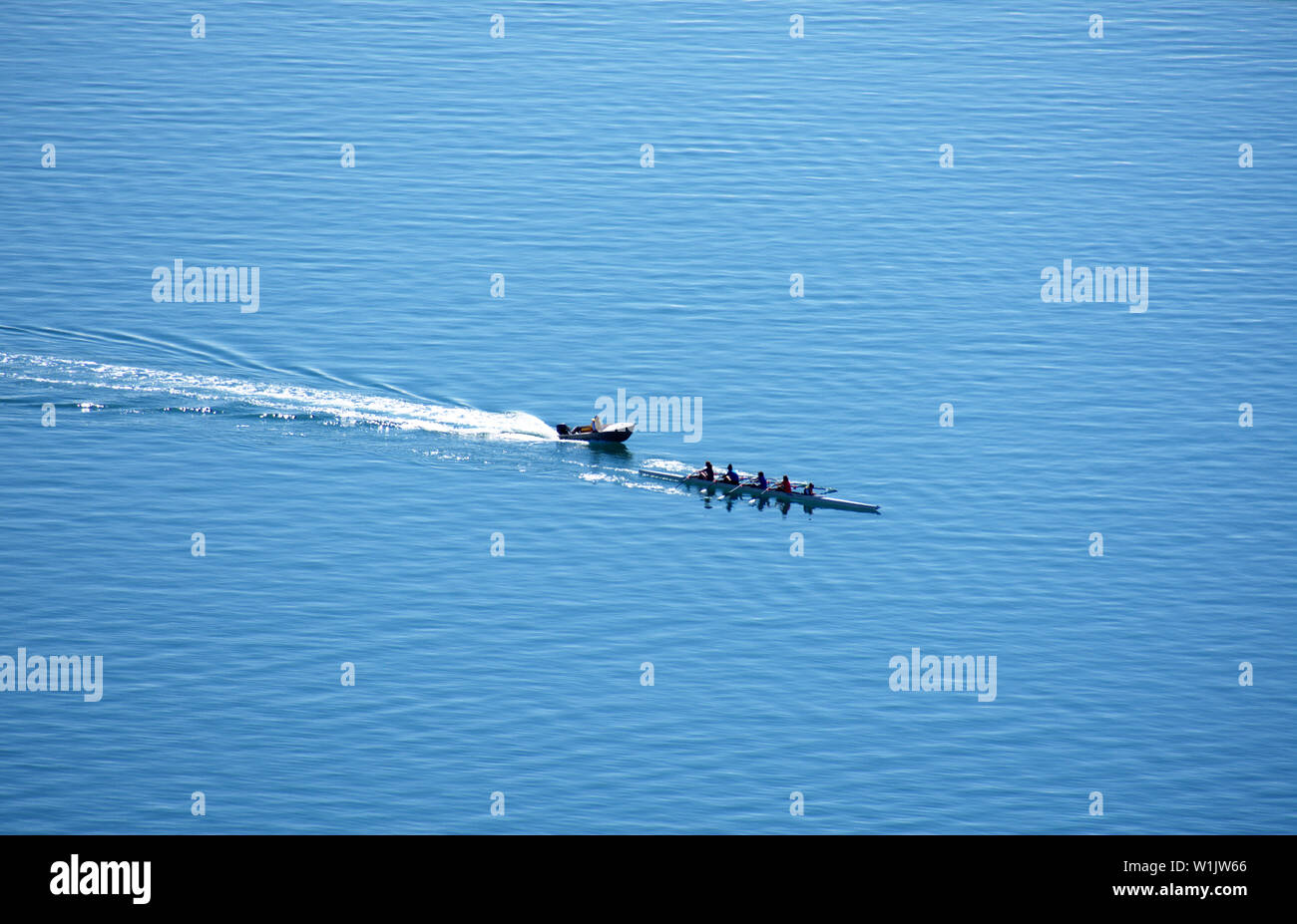 Womens rowing team practice followed by speed boat across Wellington ...