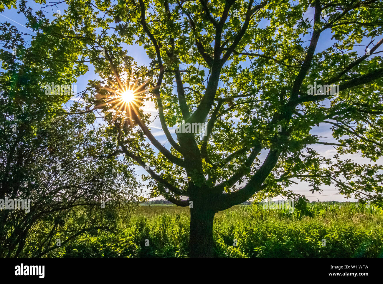 Germering hi-res stock photography and images - Alamy