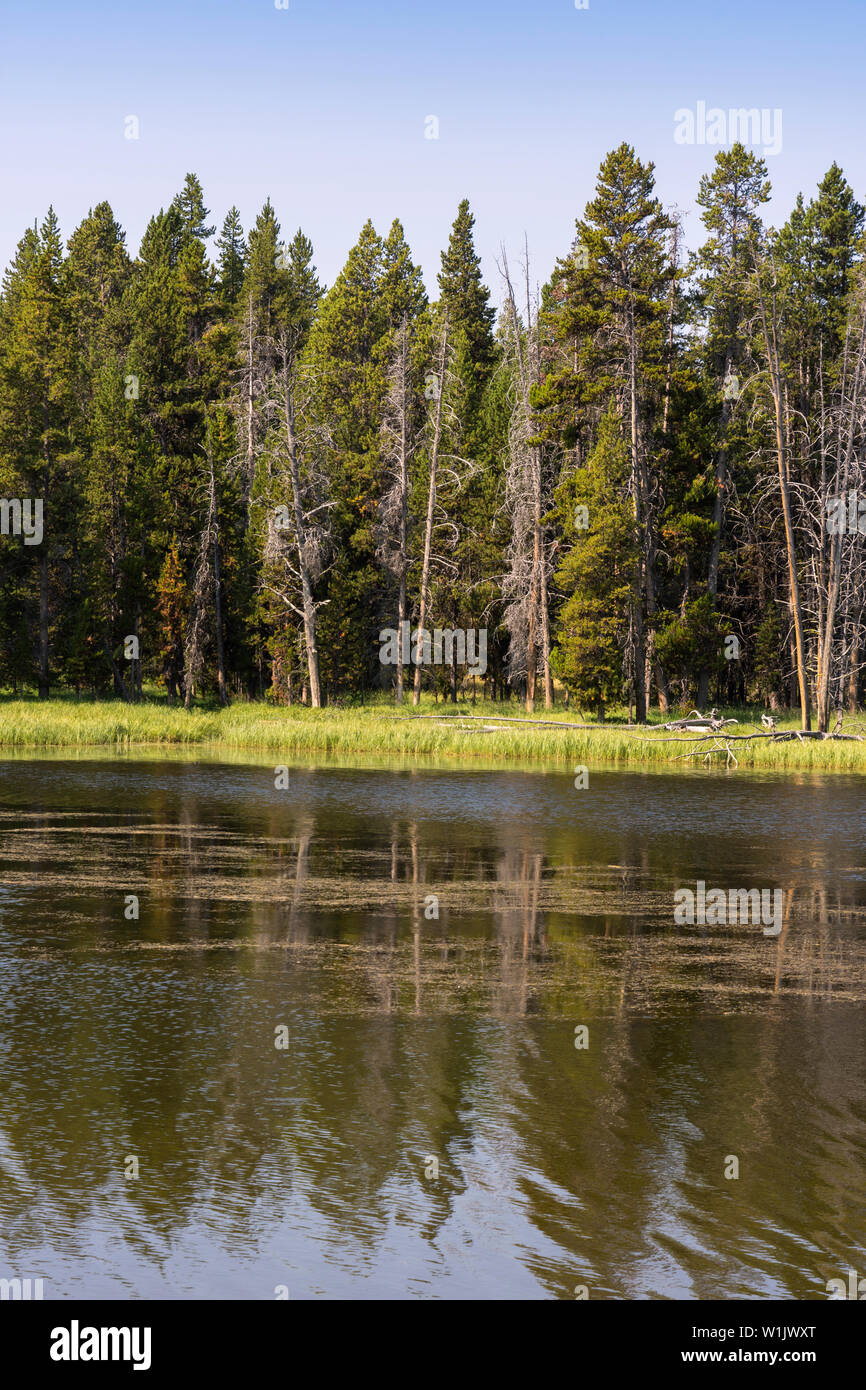 Yellowstone lake in Yellowstone National Park in Wyoming Stock Photo ...