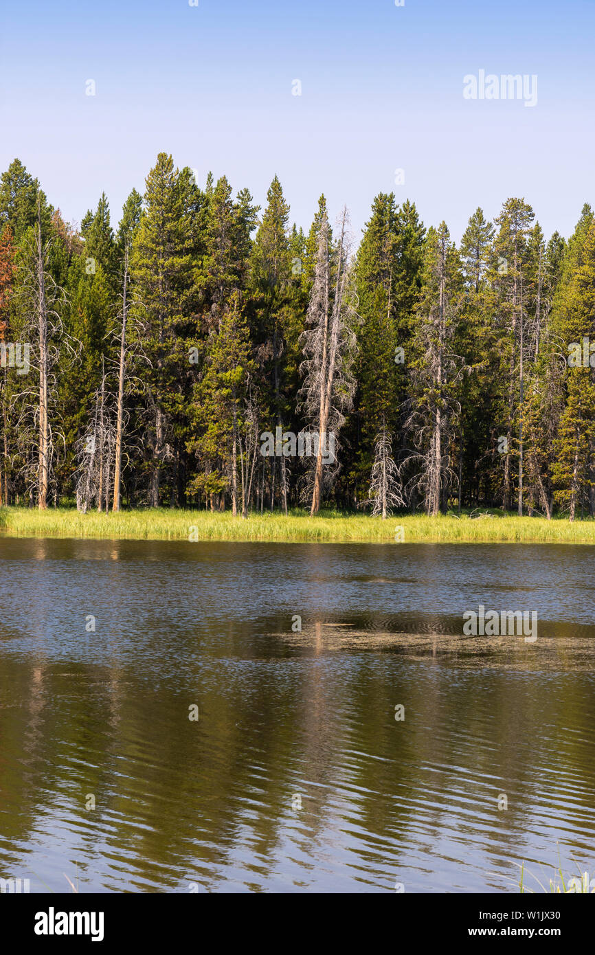 Yellowstone lake in Yellowstone National Park in Wyoming Stock Photo ...