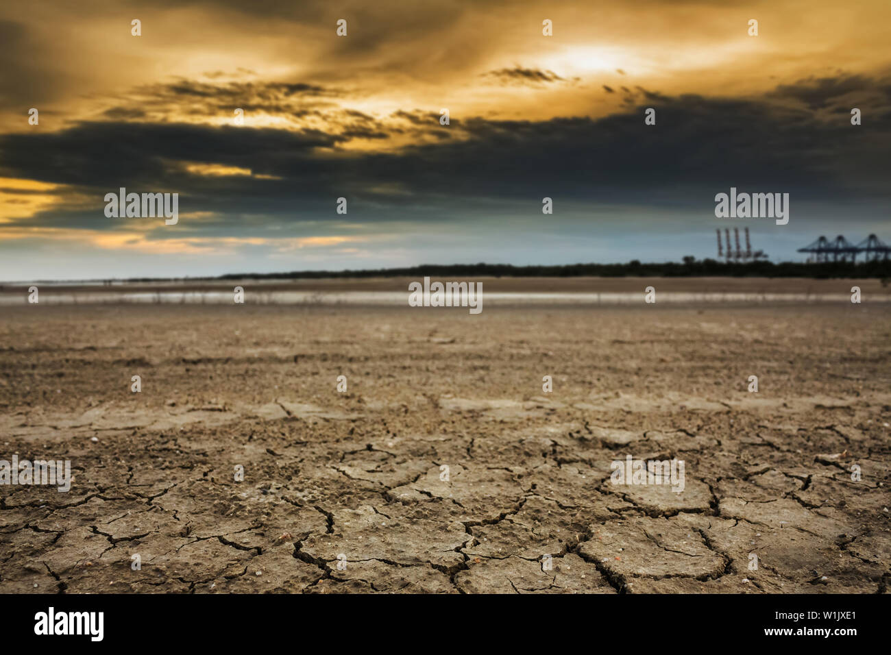 Land with dry and cracked ground. Desert Stock Photo - Alamy