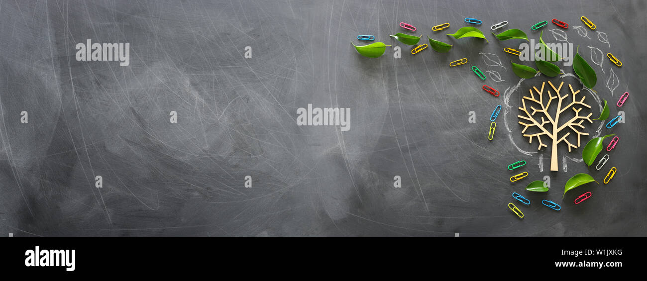 education and business concept. Top view banner of wooden tree and ...