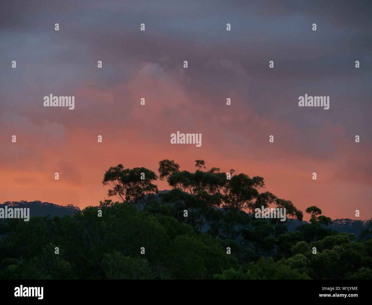 Pinky Clouds High Resolution Stock Photography and Images - Alamy