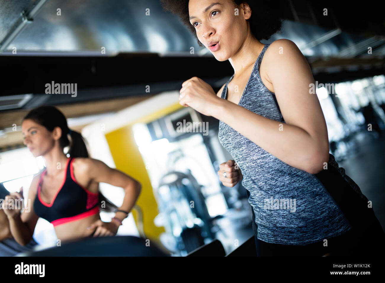 Group of healthy fit people at the gym exercising Stock Photo - Alamy