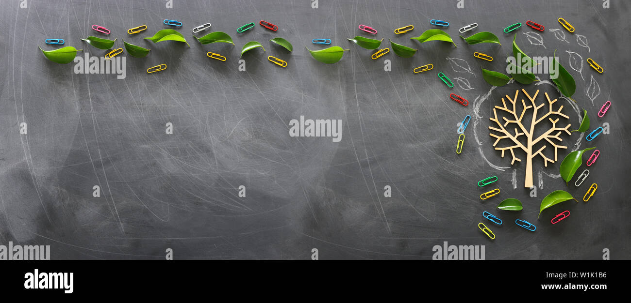 education and business concept. Top view banner of wooden tree and ...