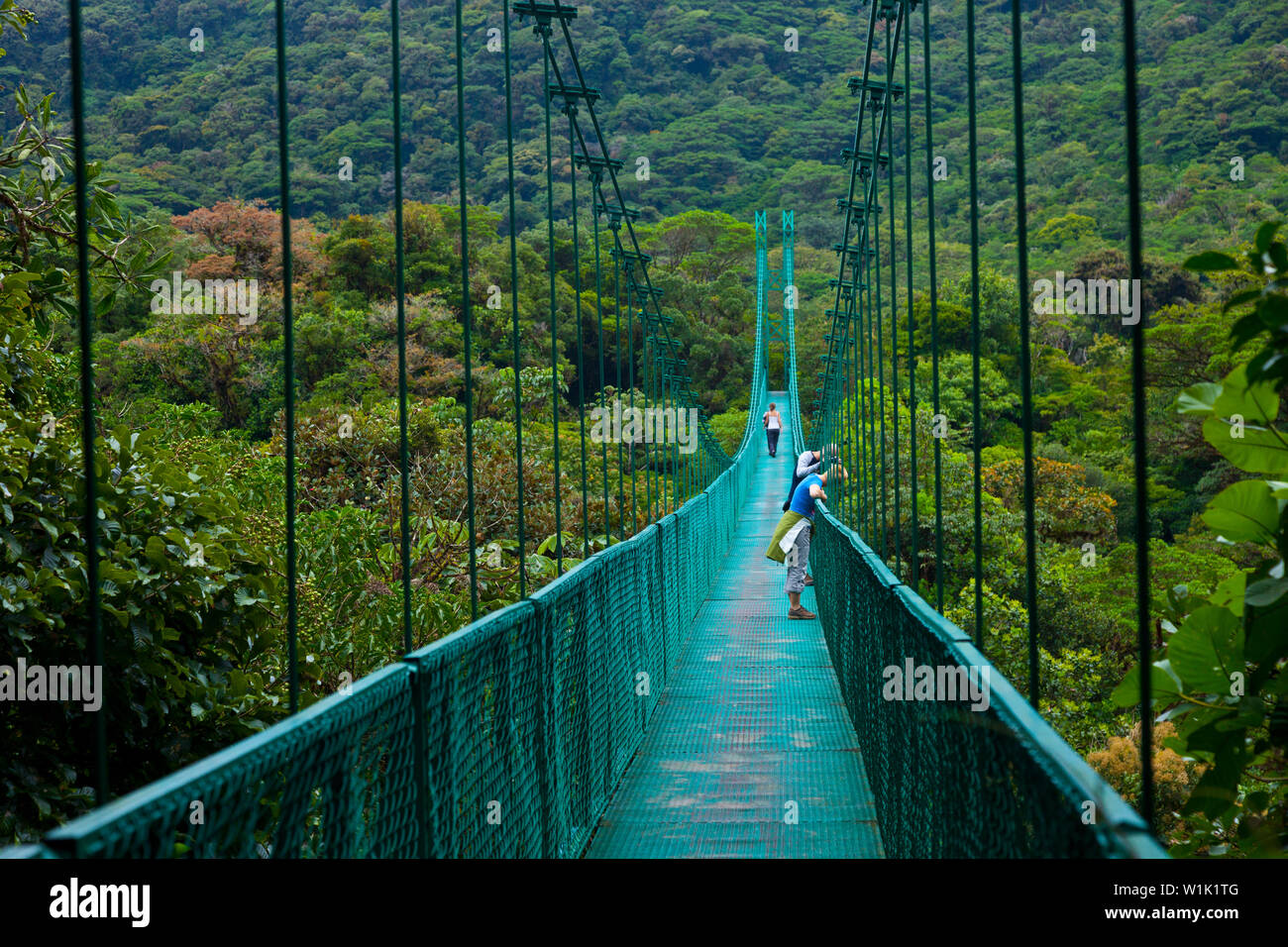 Canopy Trail, Santa Elena Cloud Forest Nature Reserve, Costa Rica ...