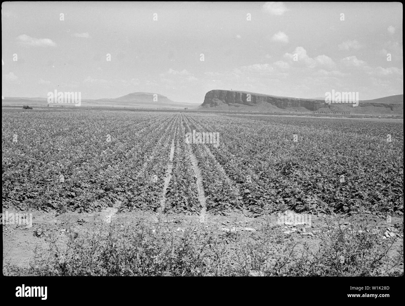 Tule lake segregation center hi-res stock photography and images - Alamy