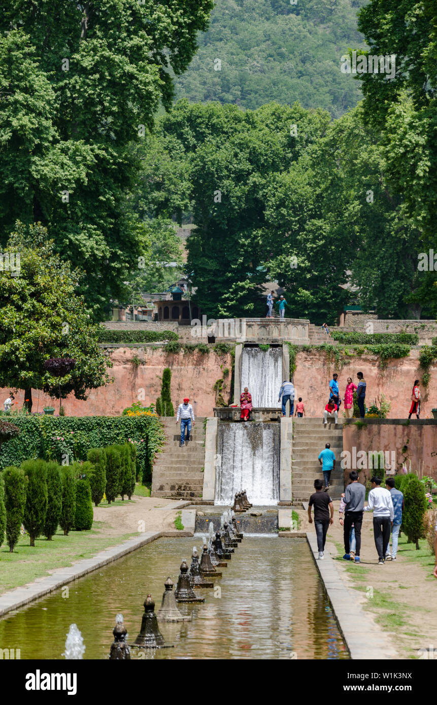 Bagh Bagh Nishatshamilar