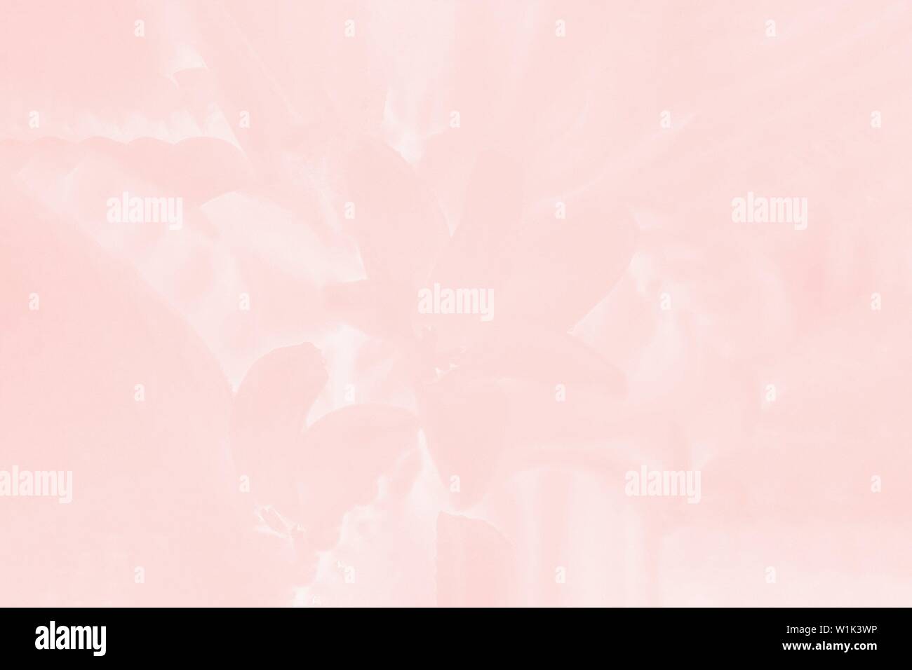 Pastel light pink background with delicate floral pattern Stock Photo ...