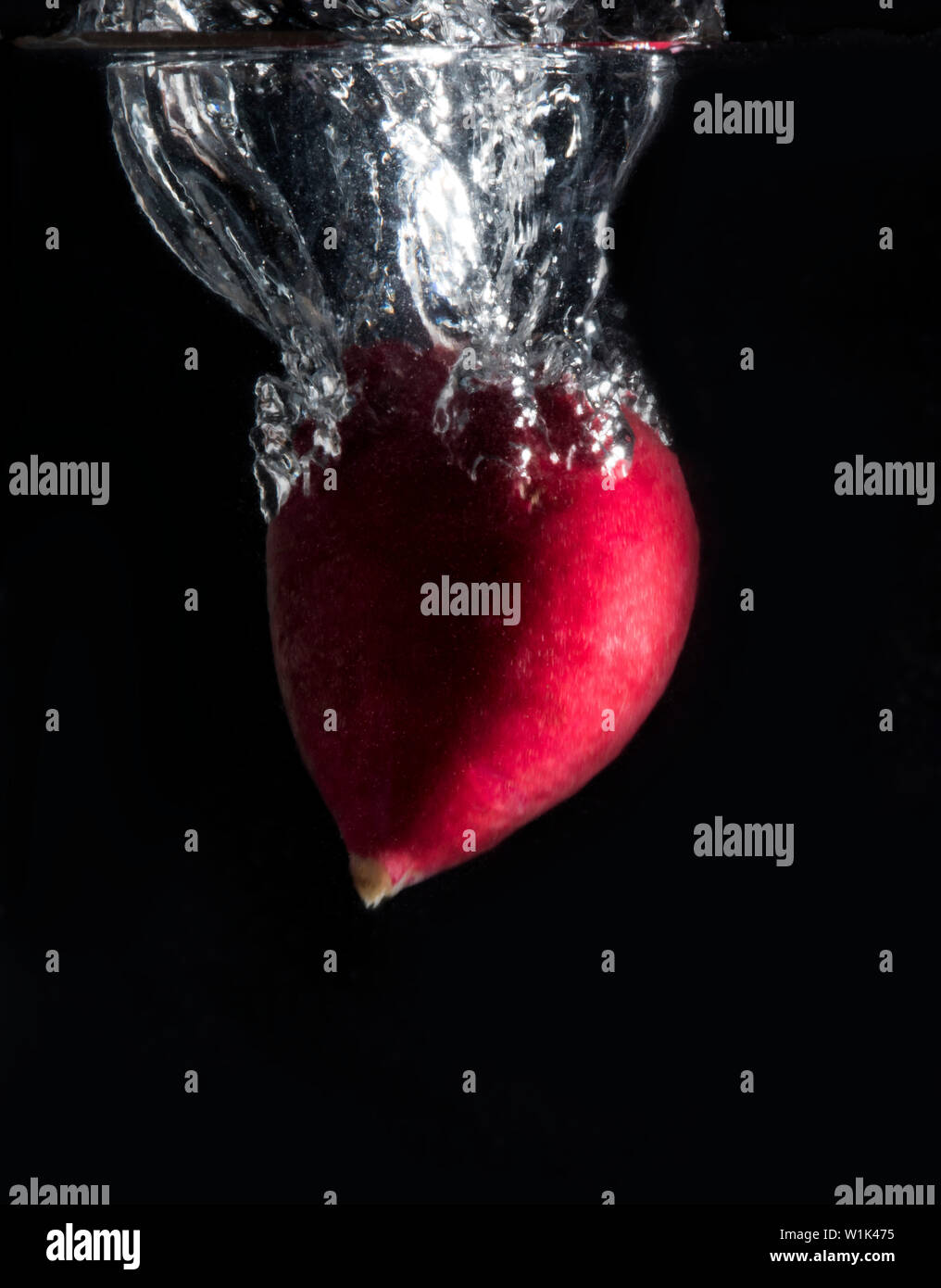 Washing radish hi-res stock photography and images - Alamy