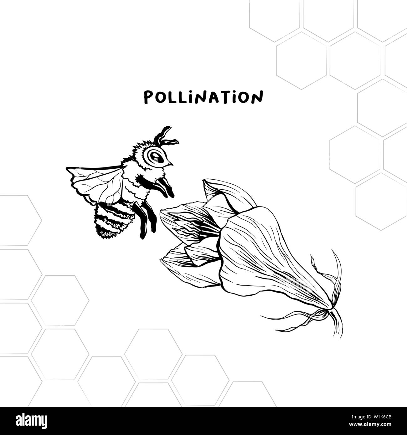 Bee clipart Black and White Stock Photos & Images - Alamy