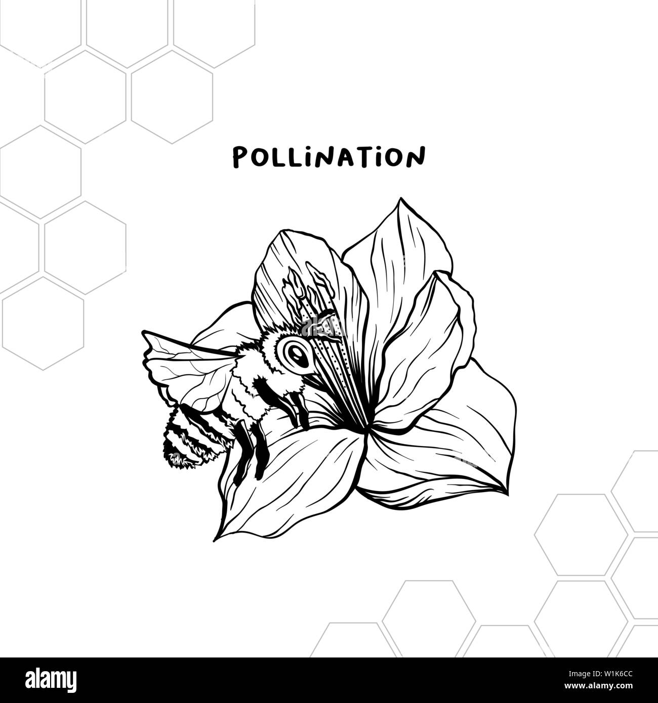 Beehive store Black and White Stock Photos & Images - Alamy