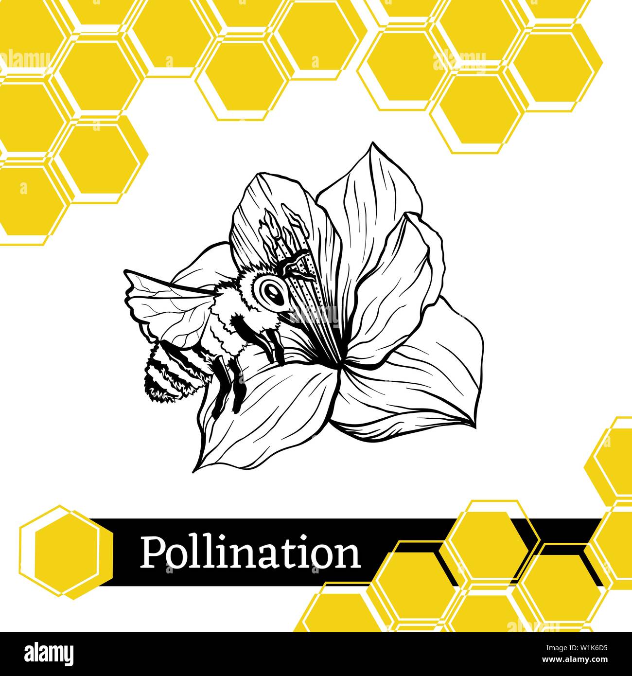 Pollination hand drawn vector illustration. Bumblebee and blooming ...