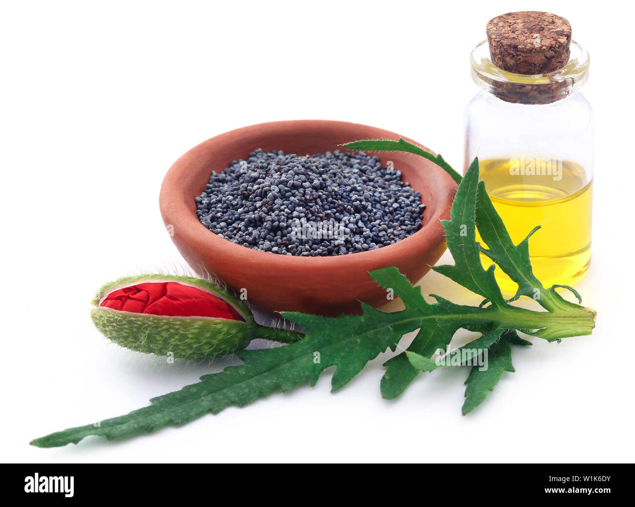 Poppy flower seeds and pods with extract in a bottle over white ...